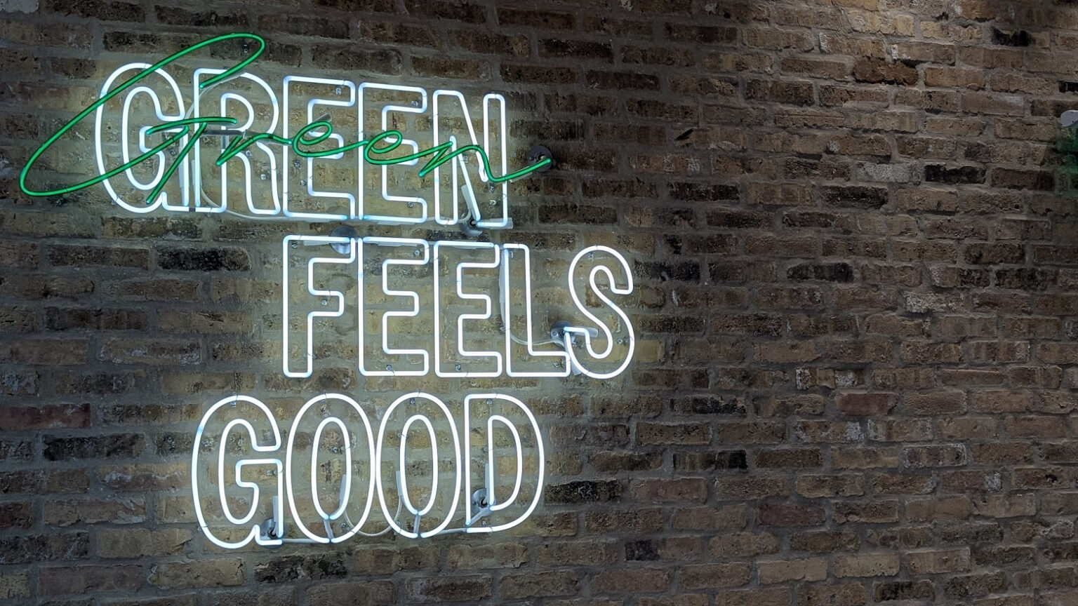 Green Signage: A 5-Step Roadmap for Businesses | invidis